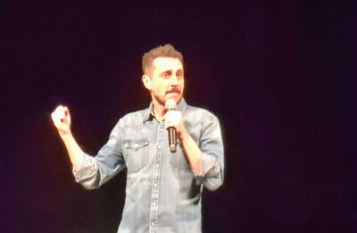 Luca Cattani Wikipedia