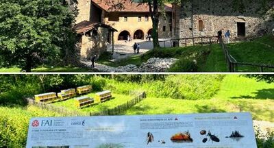 Villa Frescot Storia